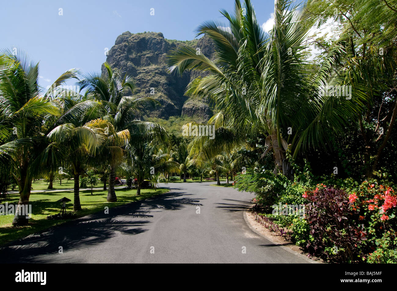 Nature idyll on island Le Paradis hotel Mauritius Africa Stock Photo ...