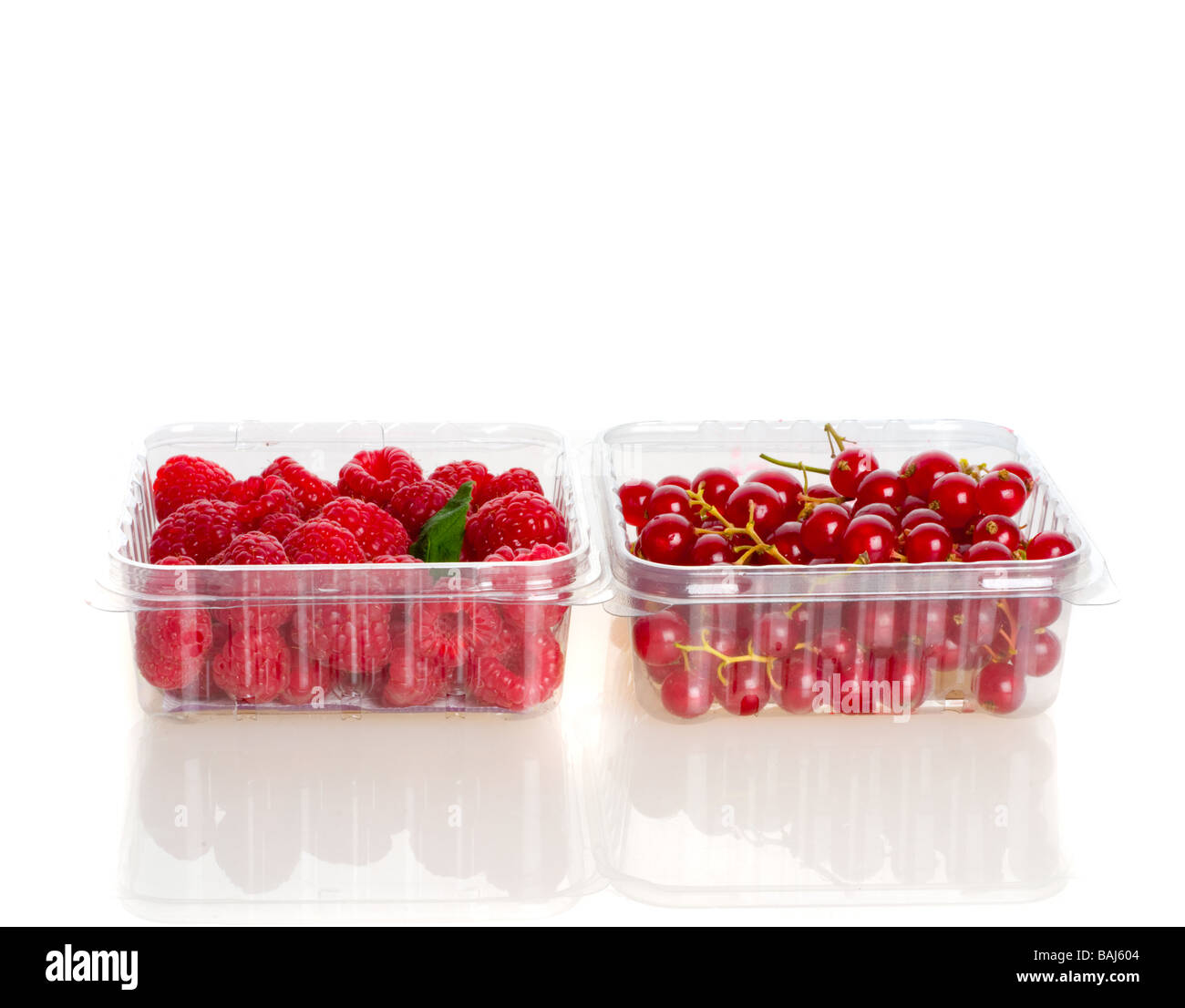 Fresh bright berries of a raspberry Stock Photo - Alamy
