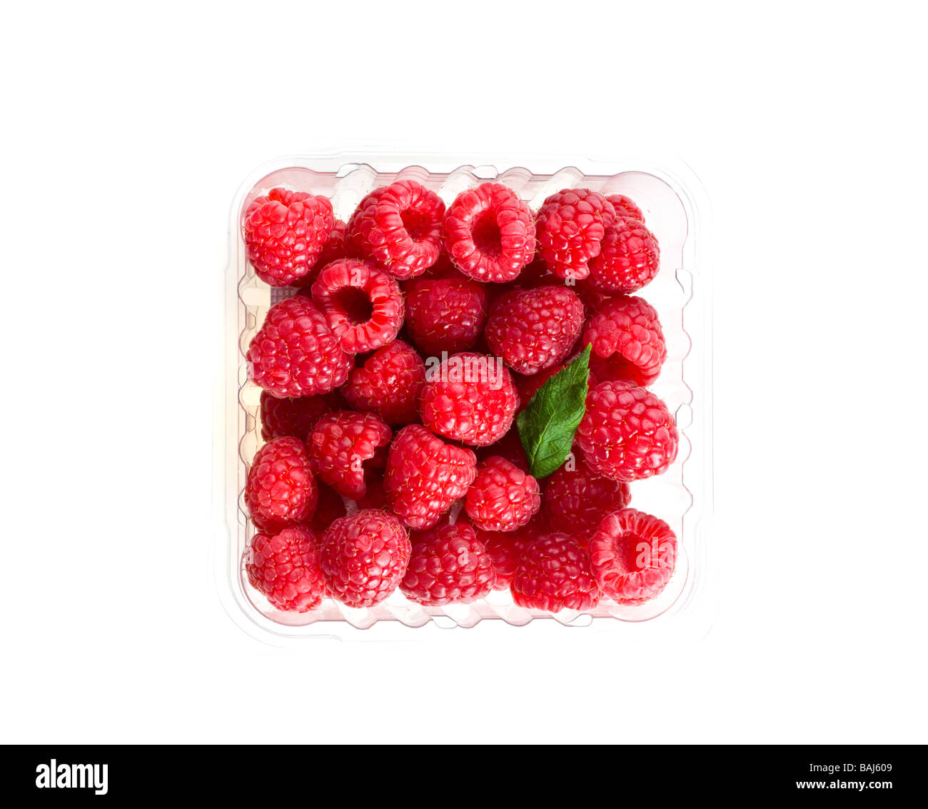 Fresh bright berries of a raspberry Stock Photo - Alamy