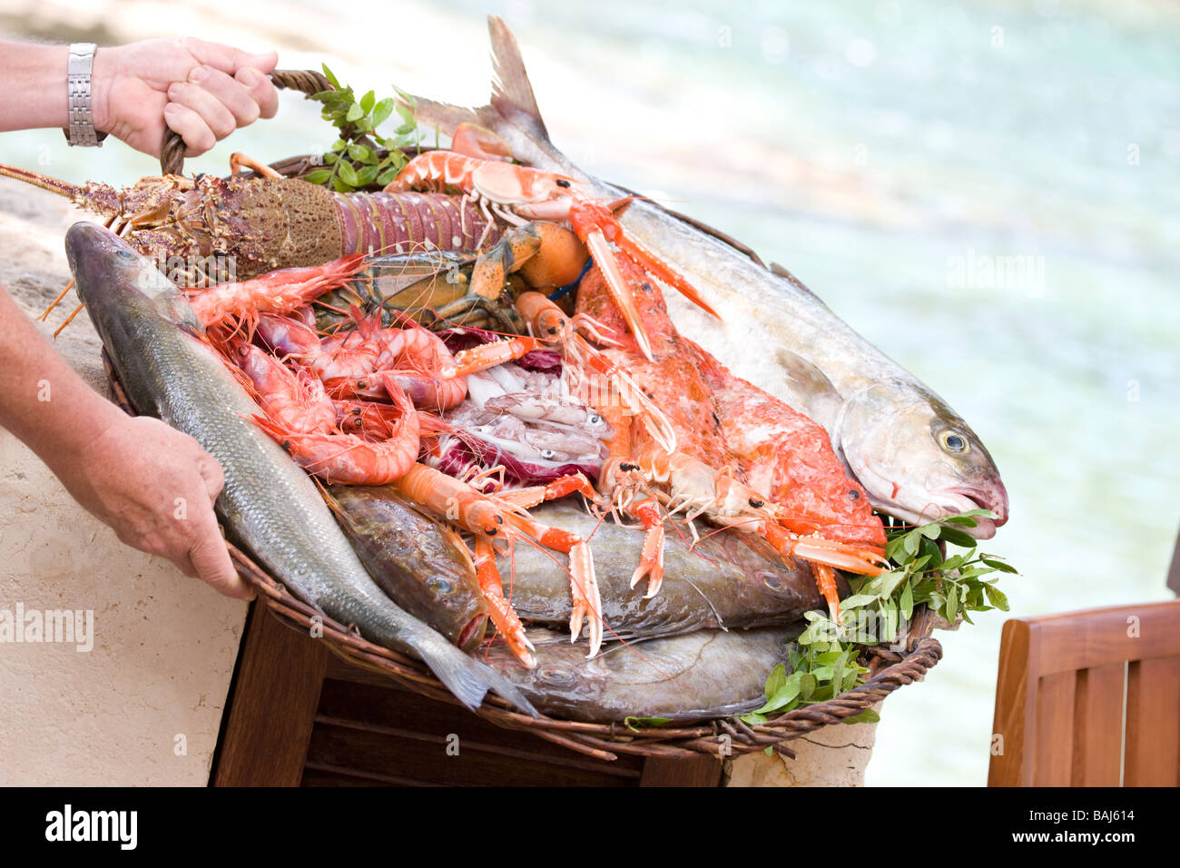 Waiter holding plates foods hi-res stock photography and images - Alamy