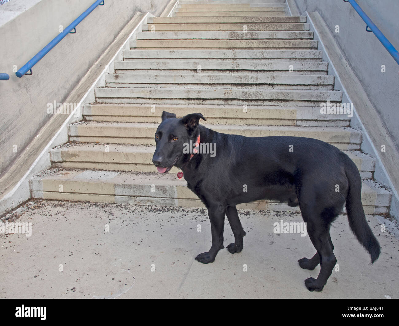 Going frankfurt hi-res stock photography and images - Alamy