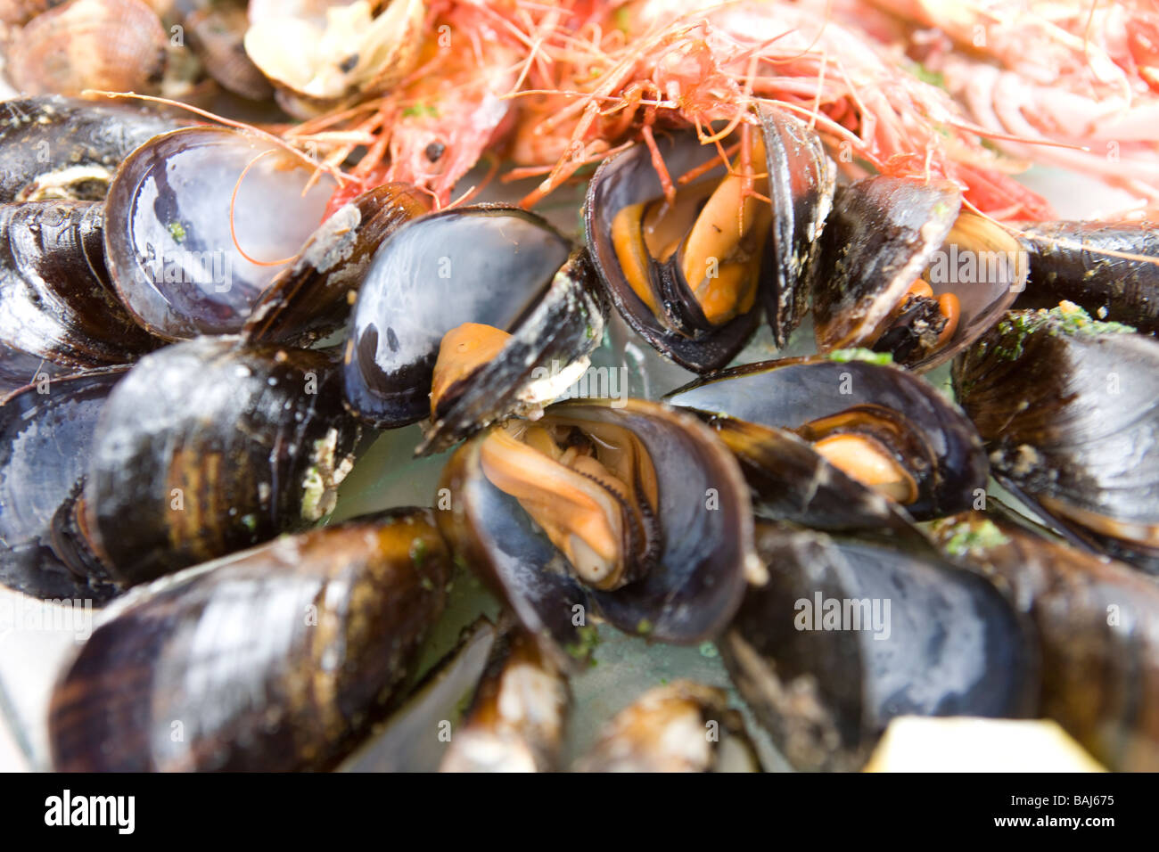 Shellfish recipes hi-res stock photography and images - Alamy