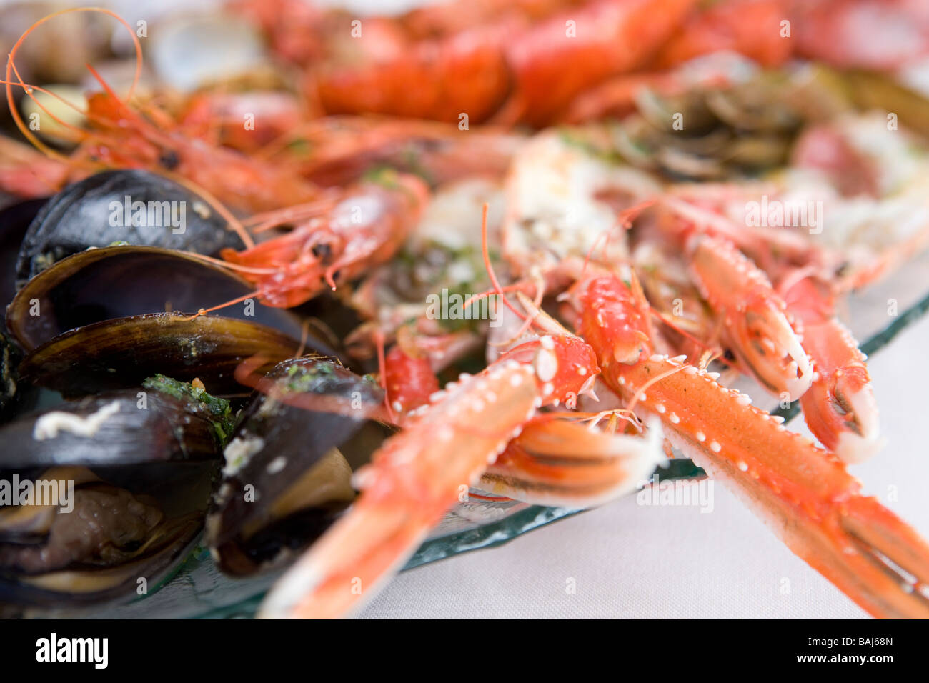 Shellfish plates hi-res stock photography and images - Alamy