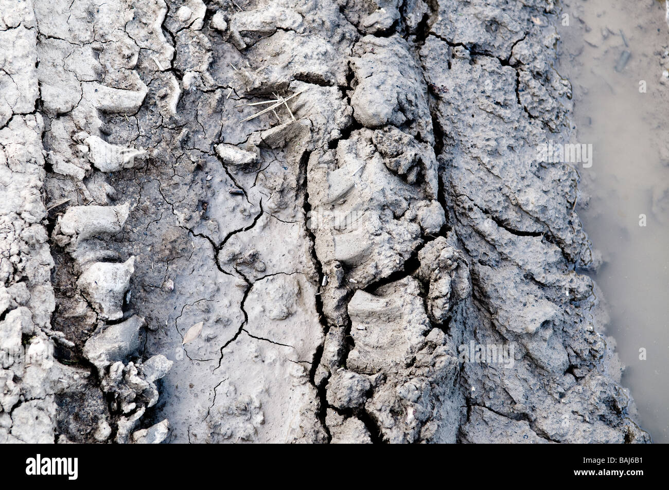 Dry soil texture Stock Photo - Alamy