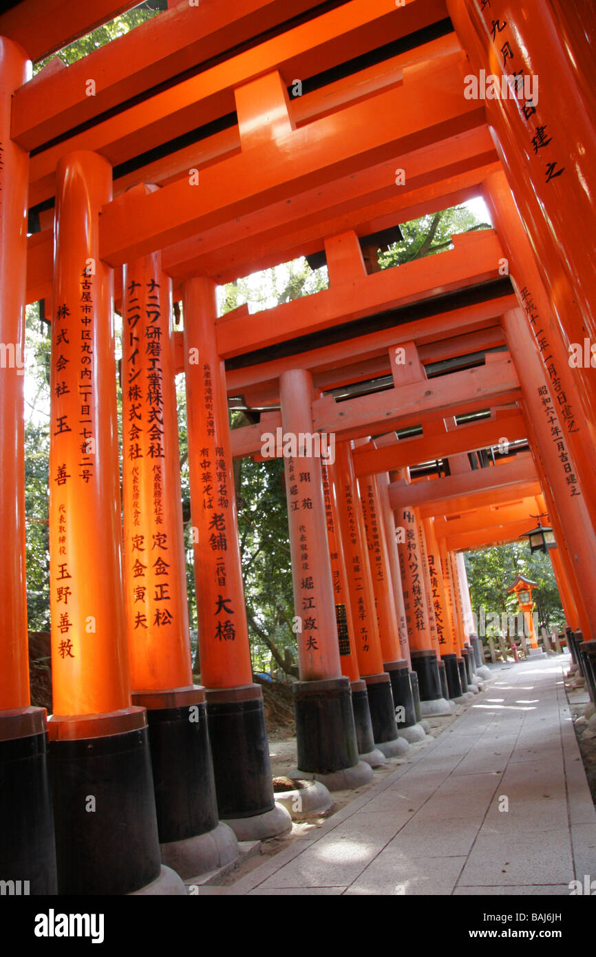 Rows of torii gates hi-res stock photography and images - Alamy