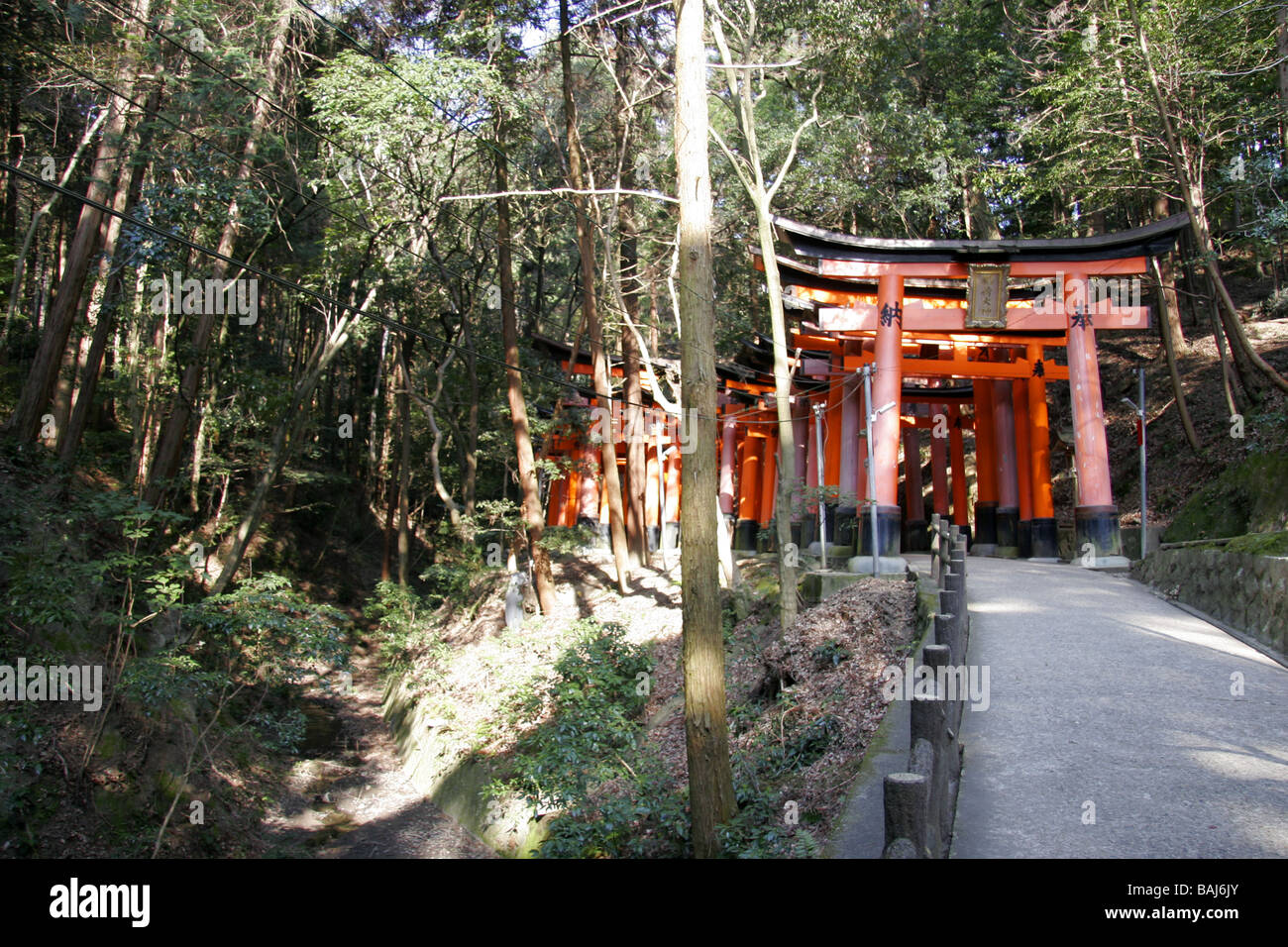 Rows of Torii gates at Fushumi Inari Taisha Kyoto Japan Stock Photo - Alamy