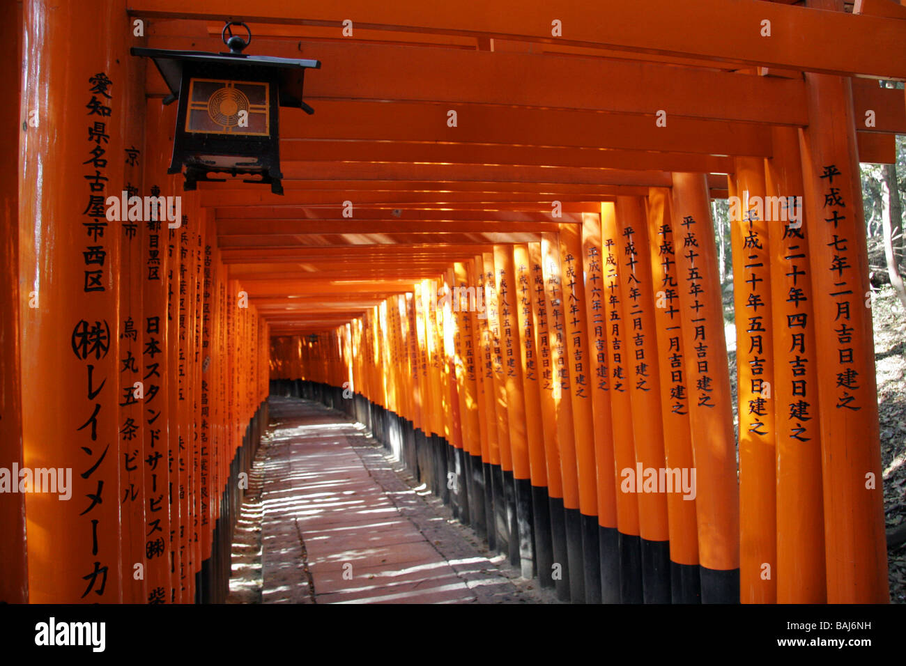 Rows of Torii gates at Fushumi Inari Taisha Kyoto Japan Stock Photo - Alamy