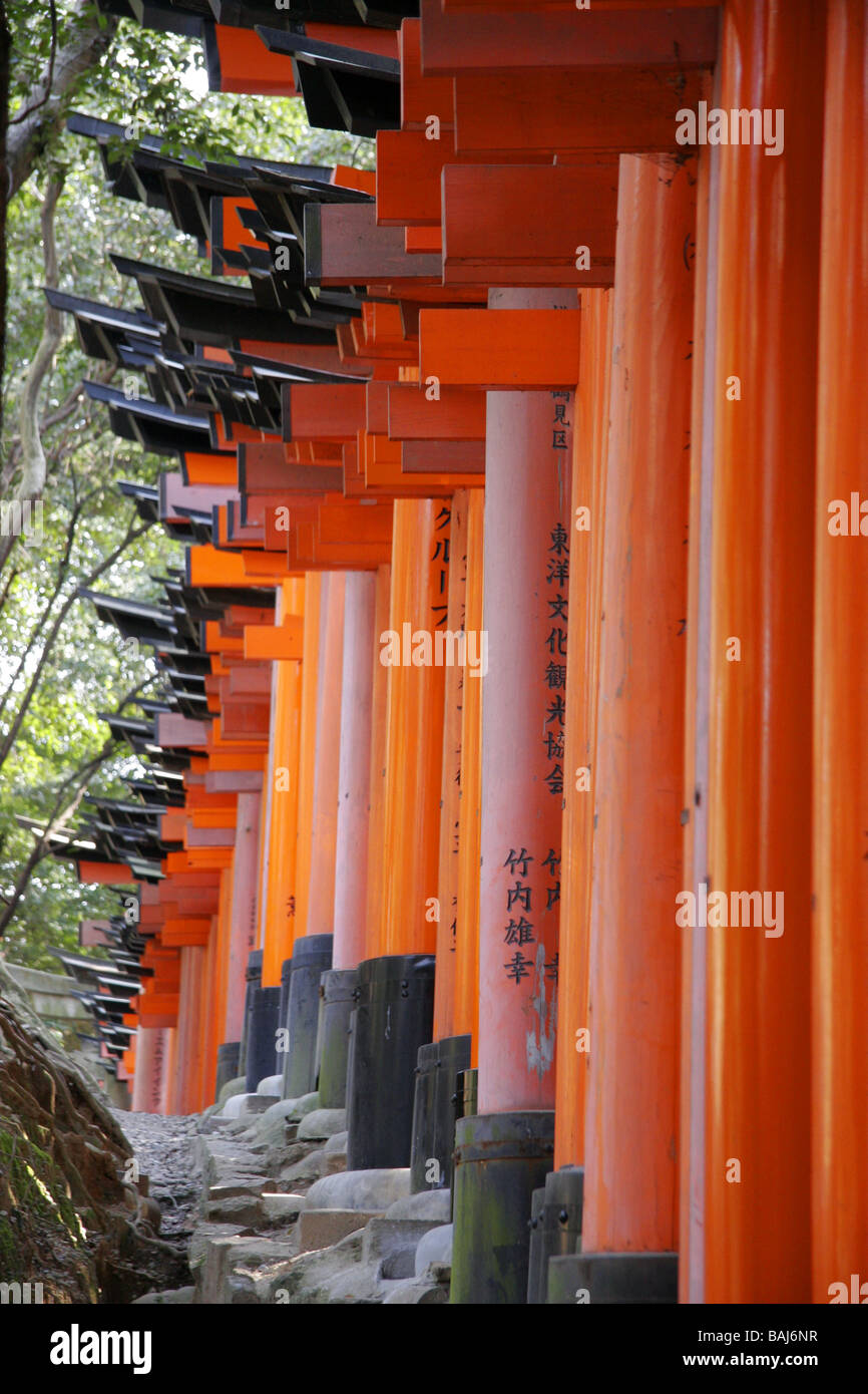 Rows of Torii gates at Fushumi Inari Taisha Kyoto Japan Stock Photo - Alamy