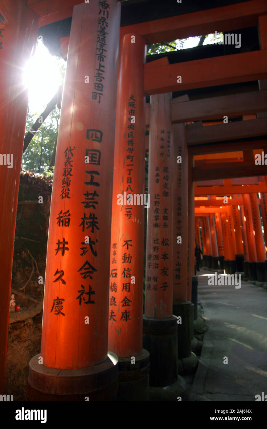 Torii gates hi-res stock photography and images - Alamy