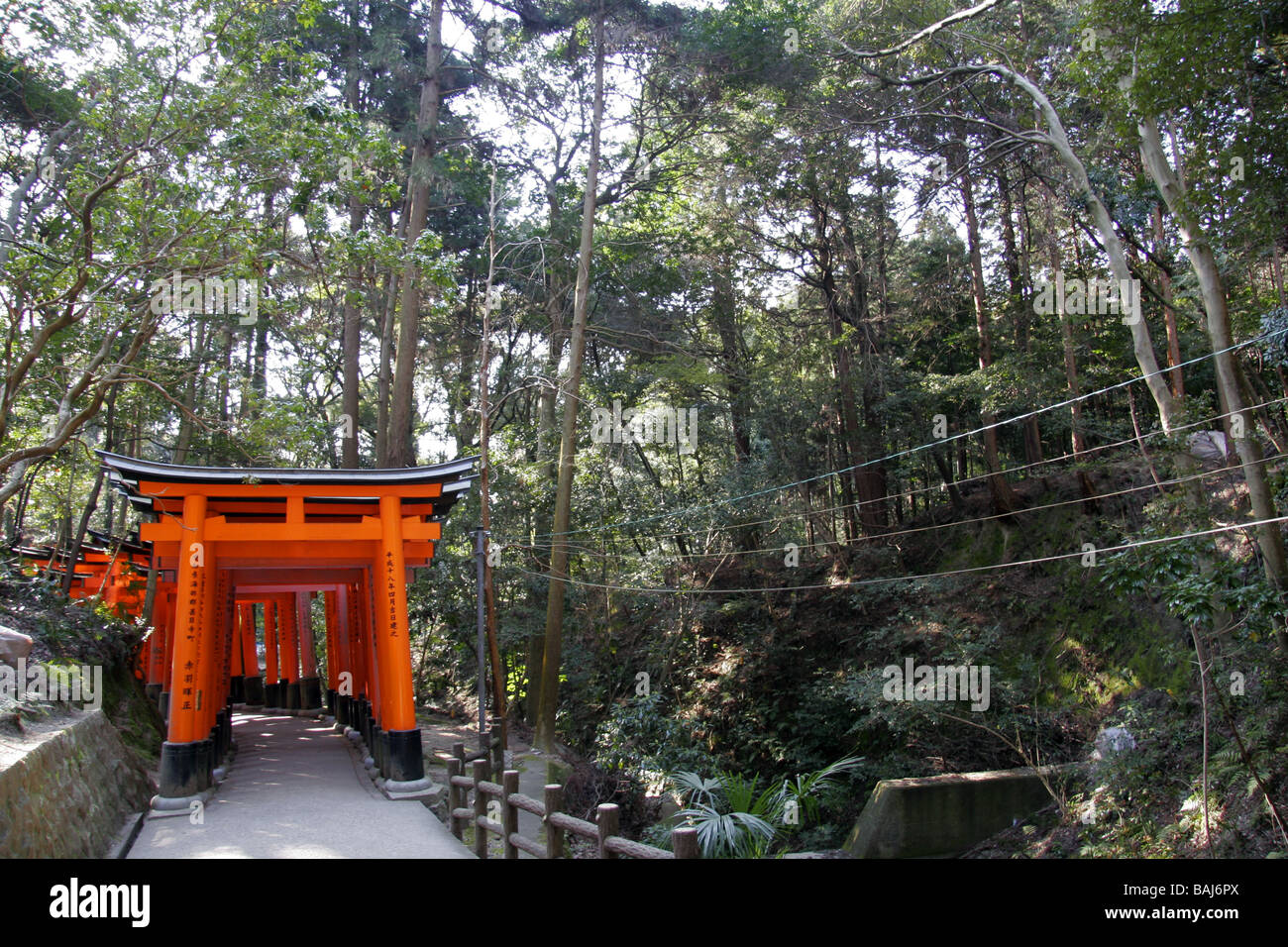 Rows of torii in japan hi-res stock photography and images - Alamy