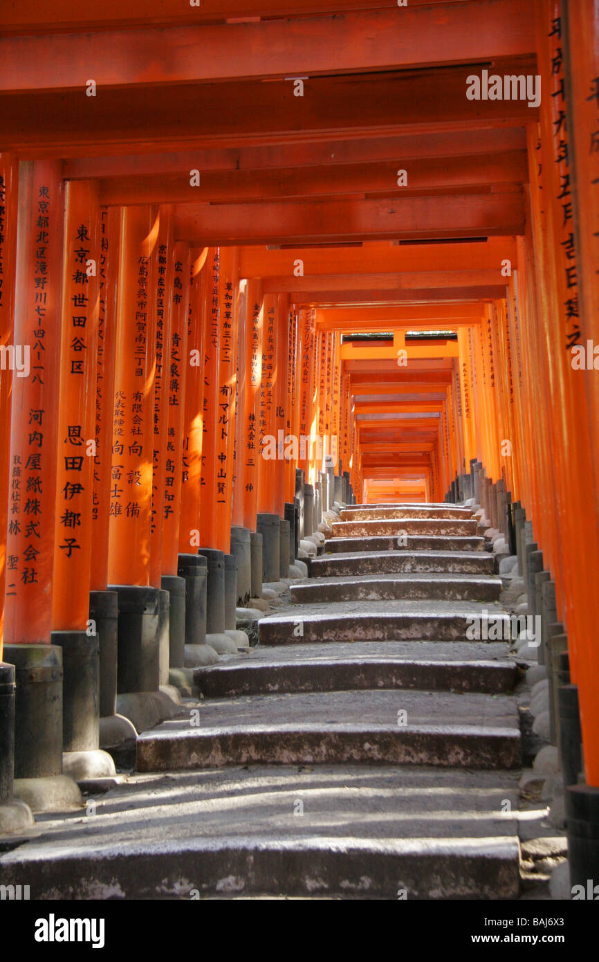 Rows of Torii gates at Fushumi Inari Taisha Kyoto Japan Stock Photo - Alamy