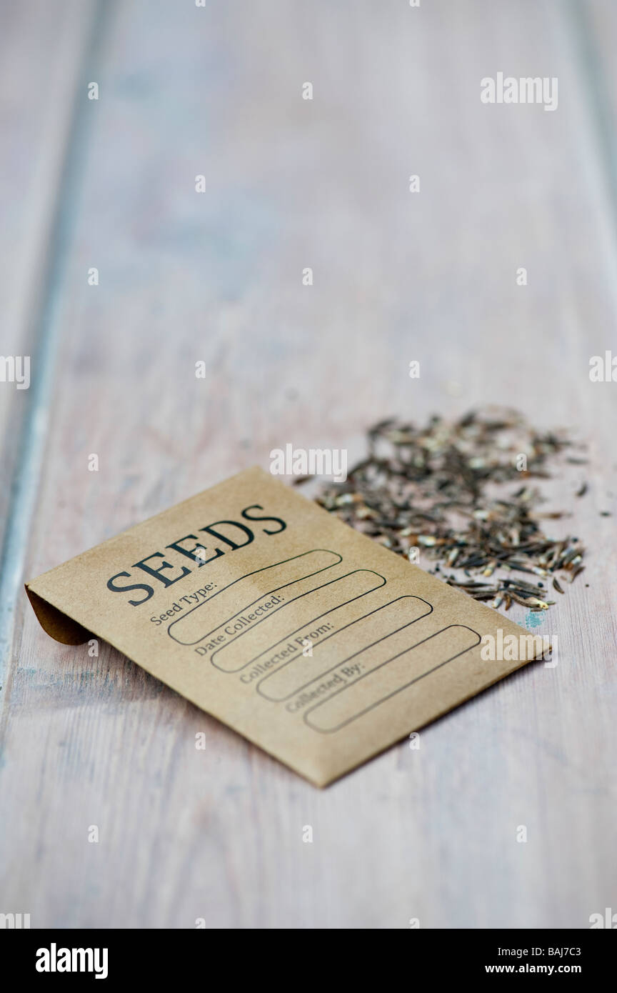 Seed packet hi-res stock photography and images - Alamy