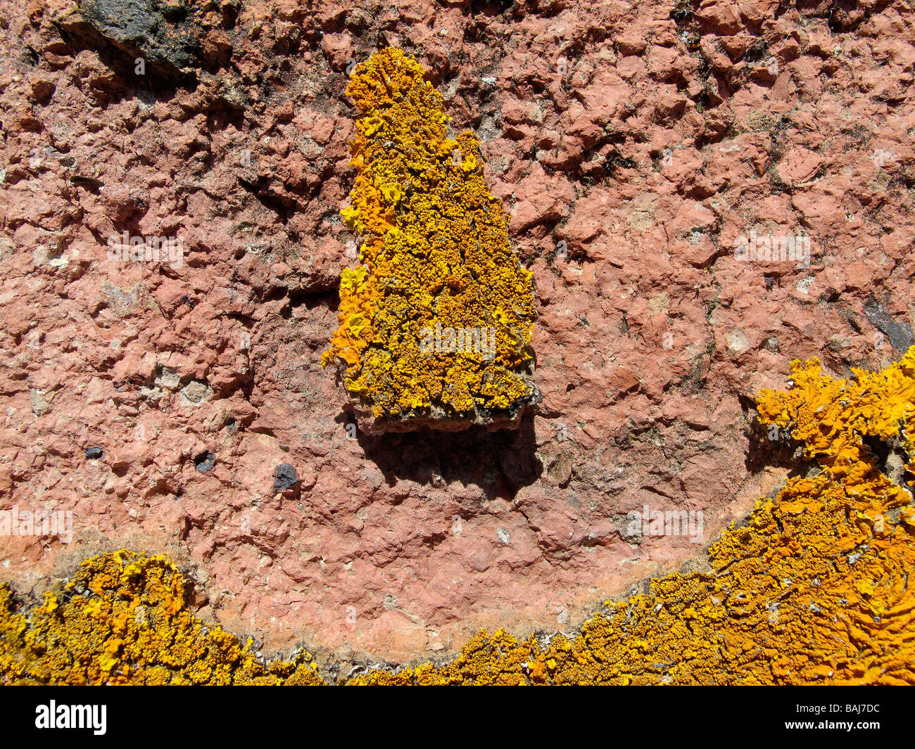 Lichen on corroding brickwork 3 - Radley Village Oxfordshire Stock ...