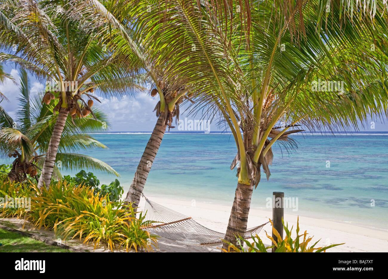 Palm Trees with Hammock on Tropical Beach - Rarotonga, Cook Islands ...
