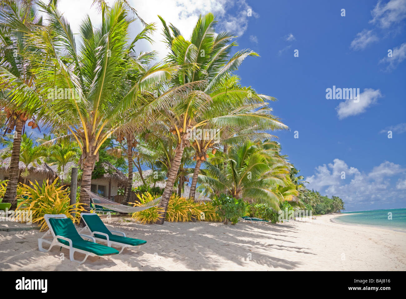 Tropical Beach with Palm Trees, Lounge Chairs and Palm Thatched Huts ...