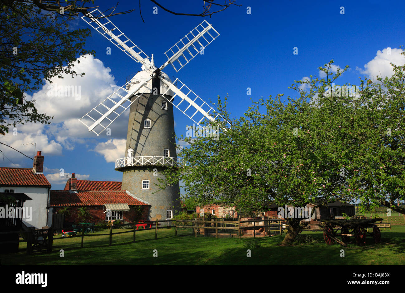 Great Bircham windmill in Norfolk, UK Stock Photo - Alamy
