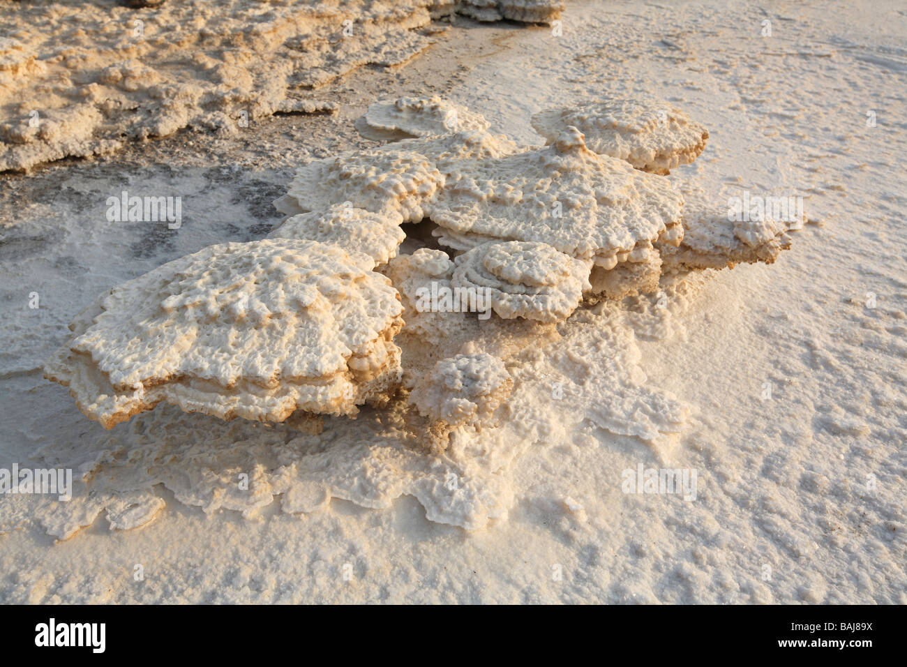 Israel Dead Sea salt sediment on the shore Stock Photo - Alamy