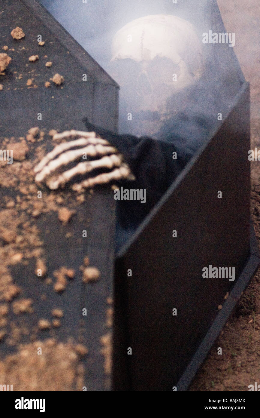 Half open casket revealing skeleton vertical shot Stock Photo - Alamy
