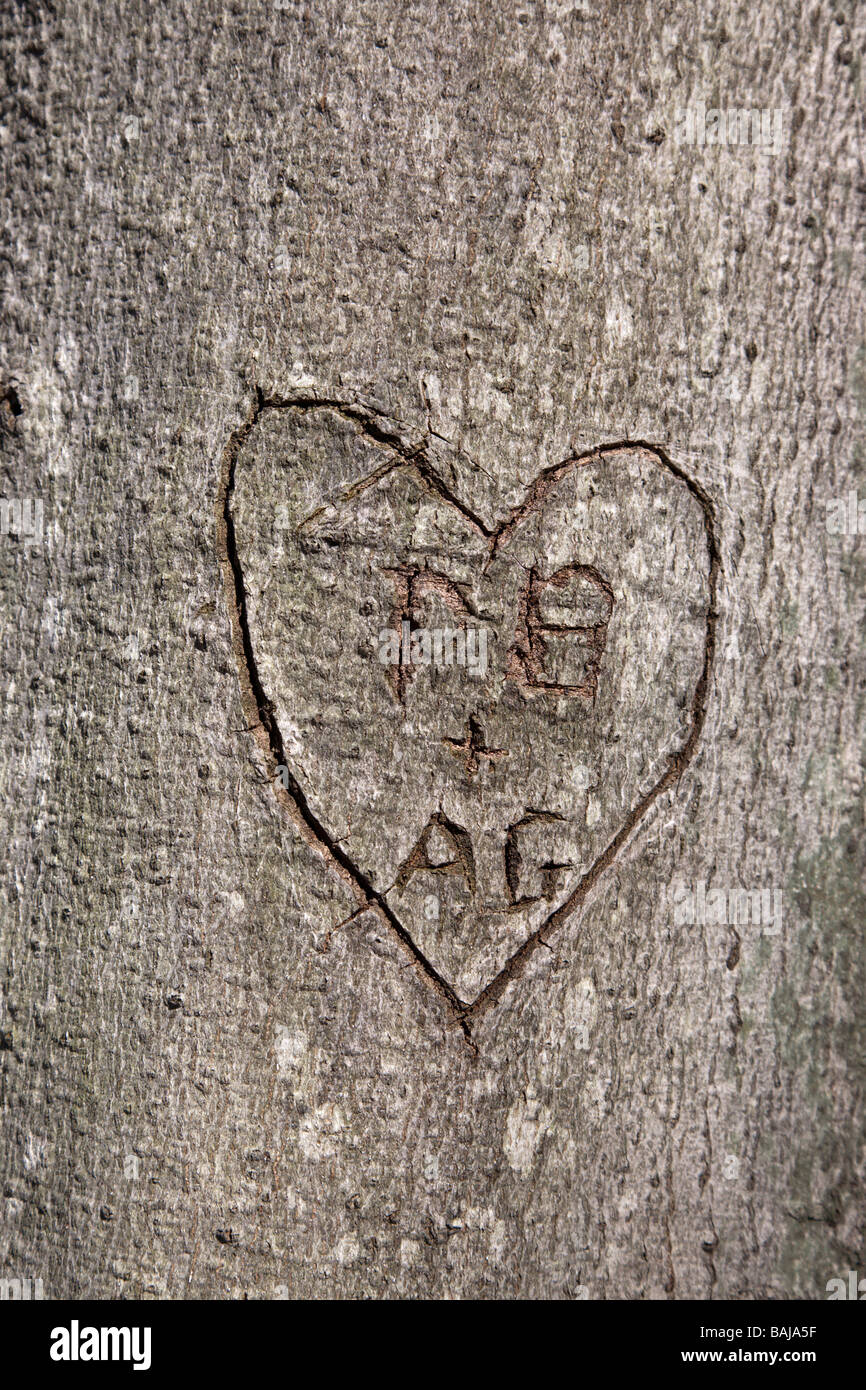 Initials carved on tree bark hi-res stock photography and images - Alamy