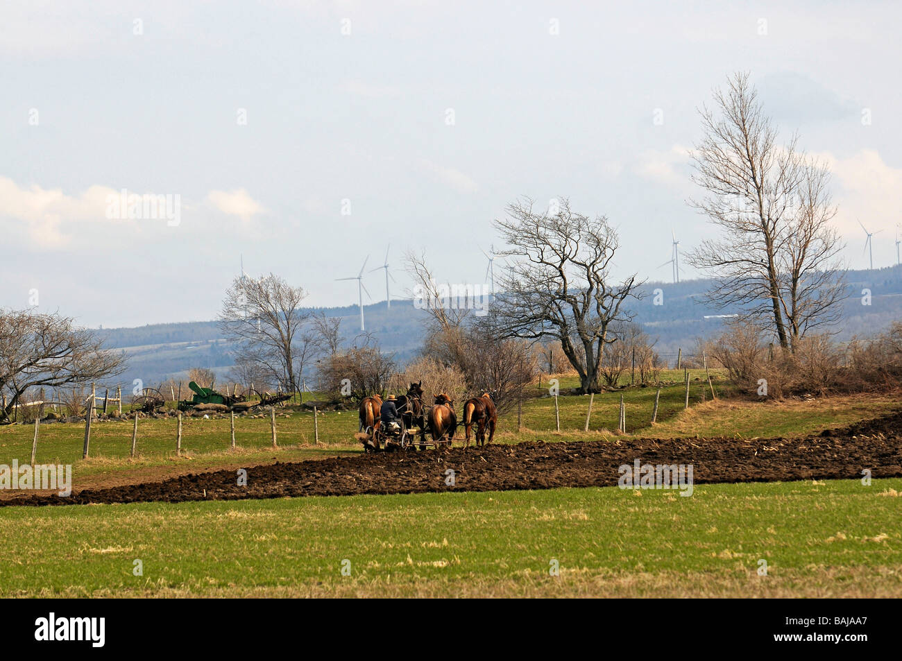 Amish farmer hi-res stock photography and images - Alamy