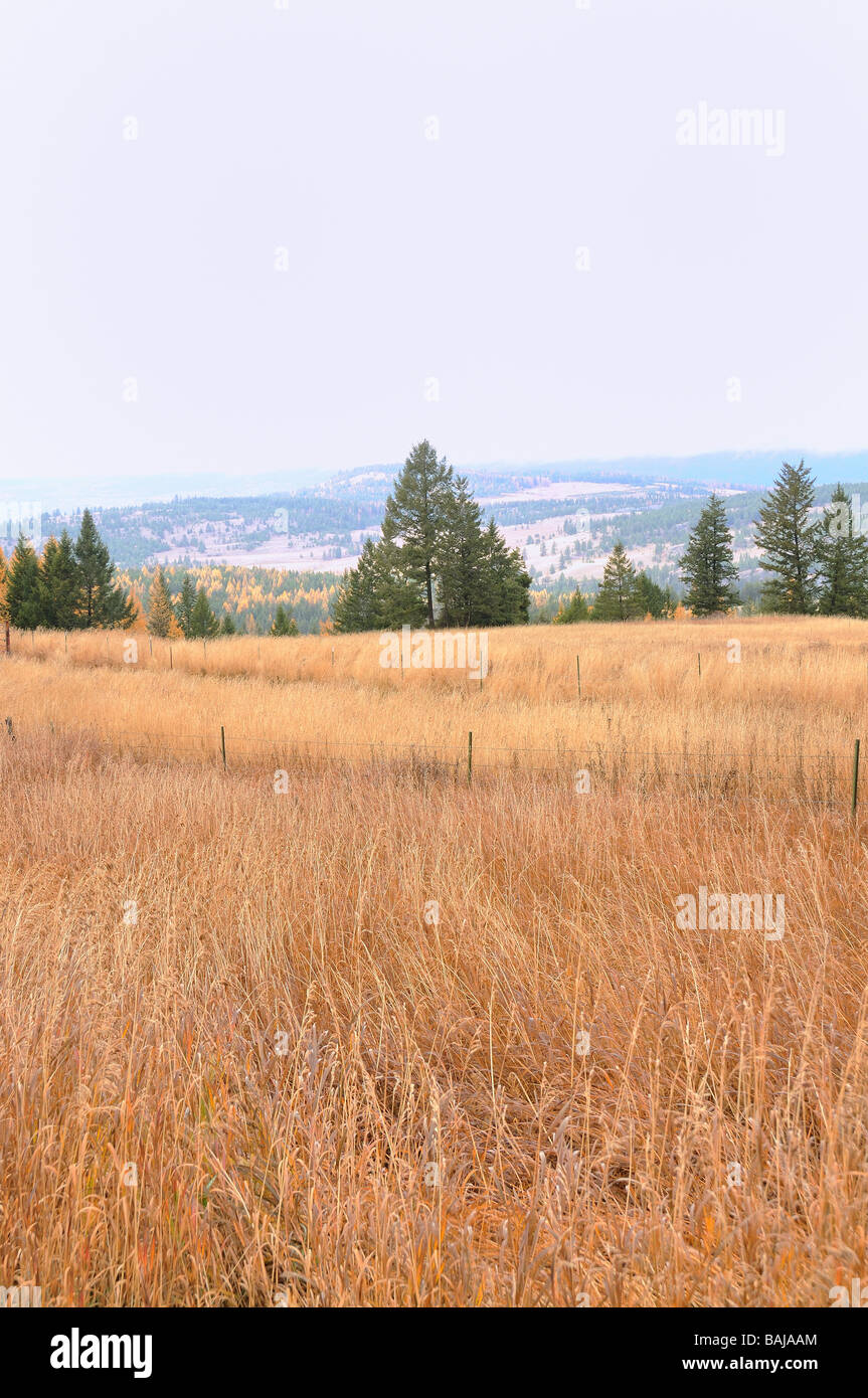 Countryside in Eastern Washington State, USA Stock Photo - Alamy