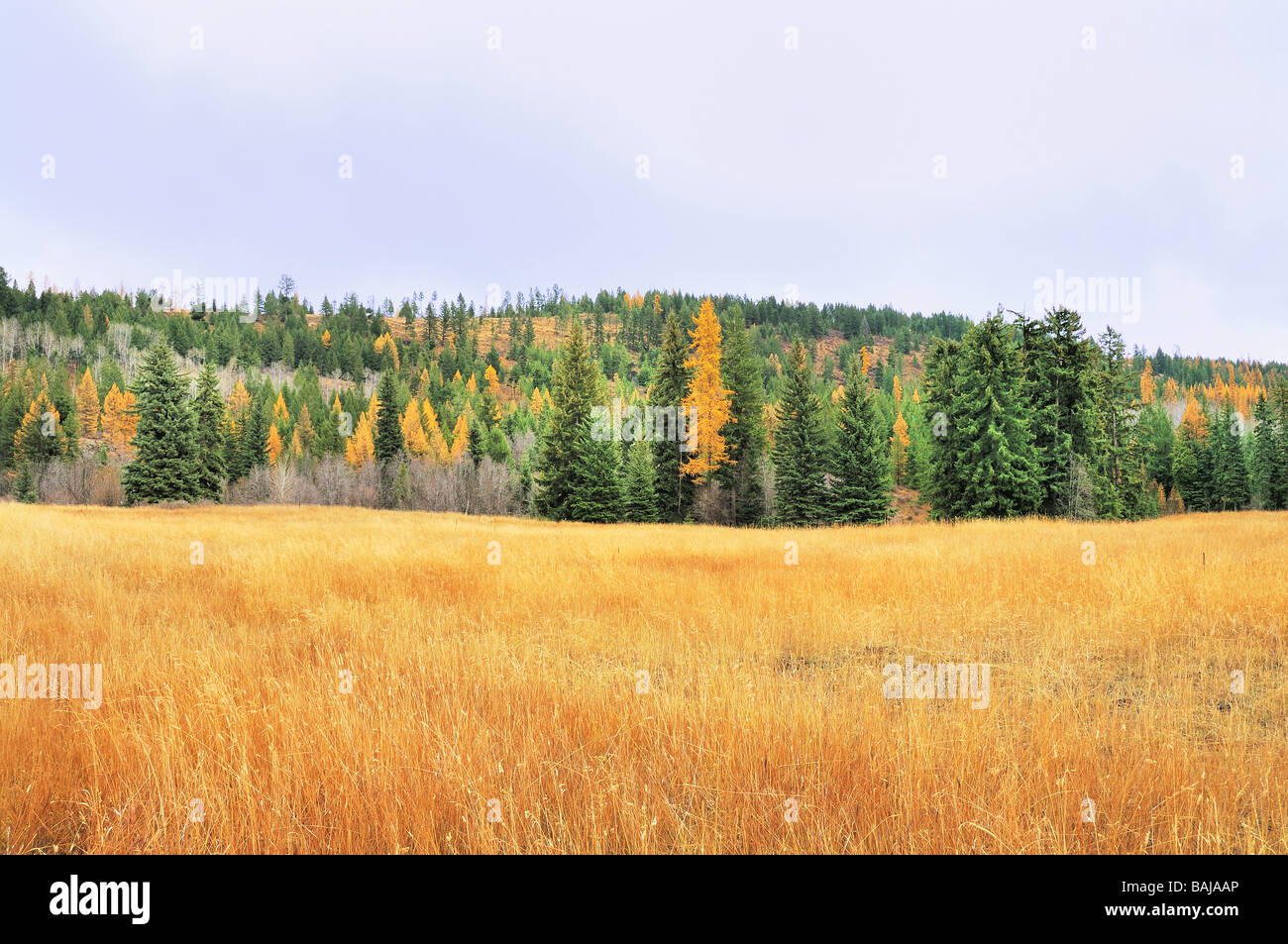 Postcard Of Washington Stock Photos & Postcard Of Washington Stock ...