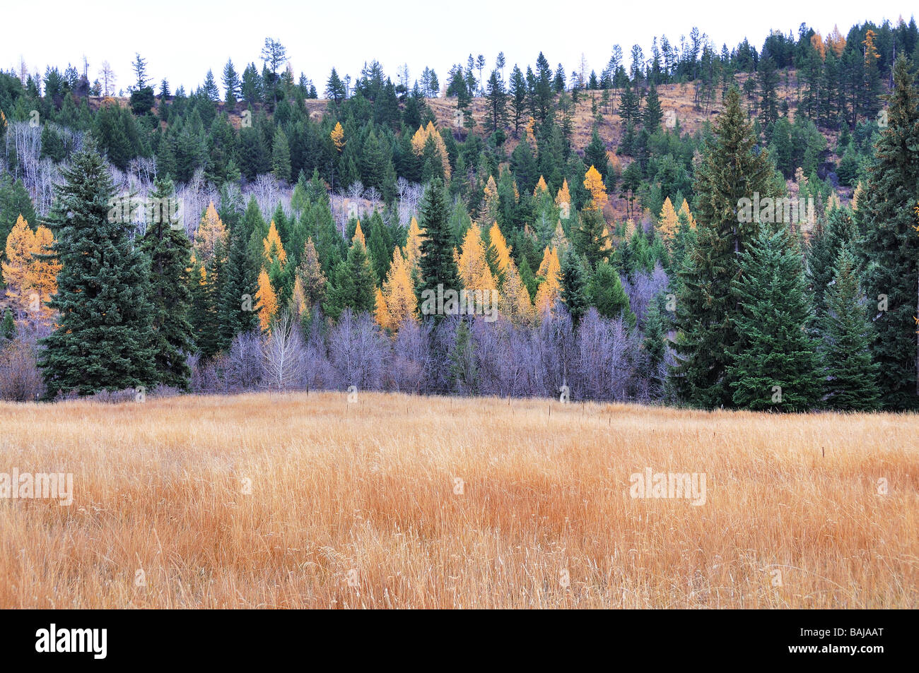 Countryside in Eastern Washington State, USA Stock Photo - Alamy