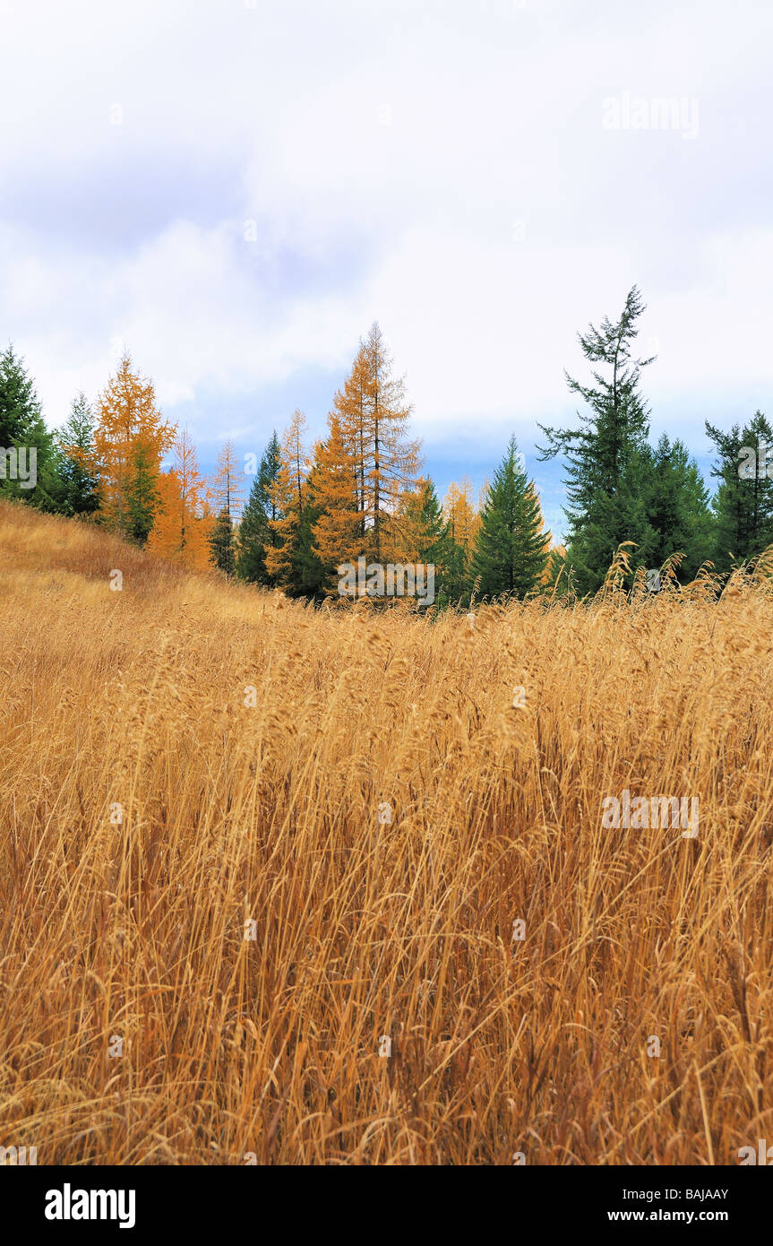 Countryside in Eastern Washington State, USA Stock Photo - Alamy