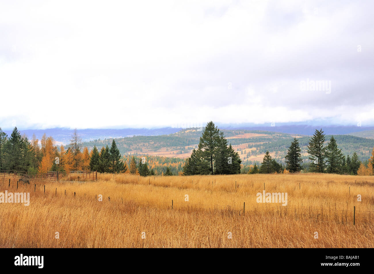 Countryside in Eastern Washington State, USA Stock Photo - Alamy