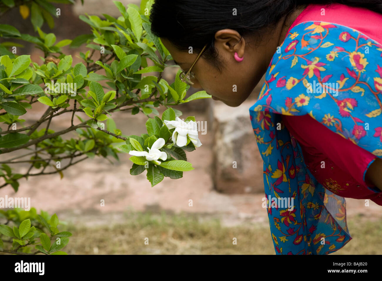 Indian smells hi-res stock photography and images - Alamy