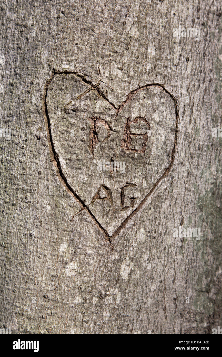 Initials carved on tree bark hi-res stock photography and images - Alamy