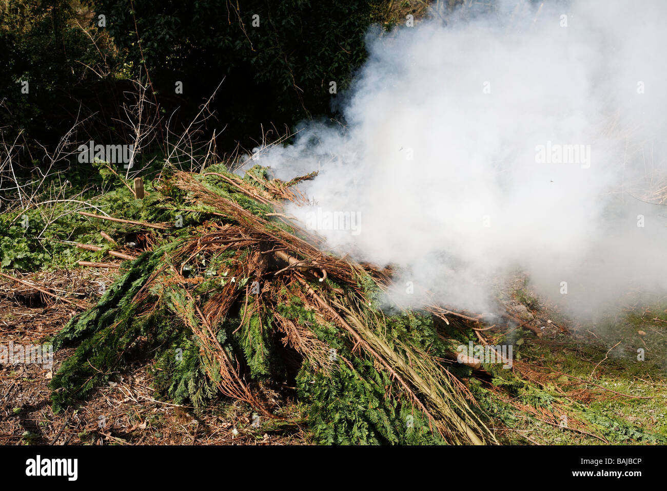 Garden bonfire smoke Stock Photo - Alamy