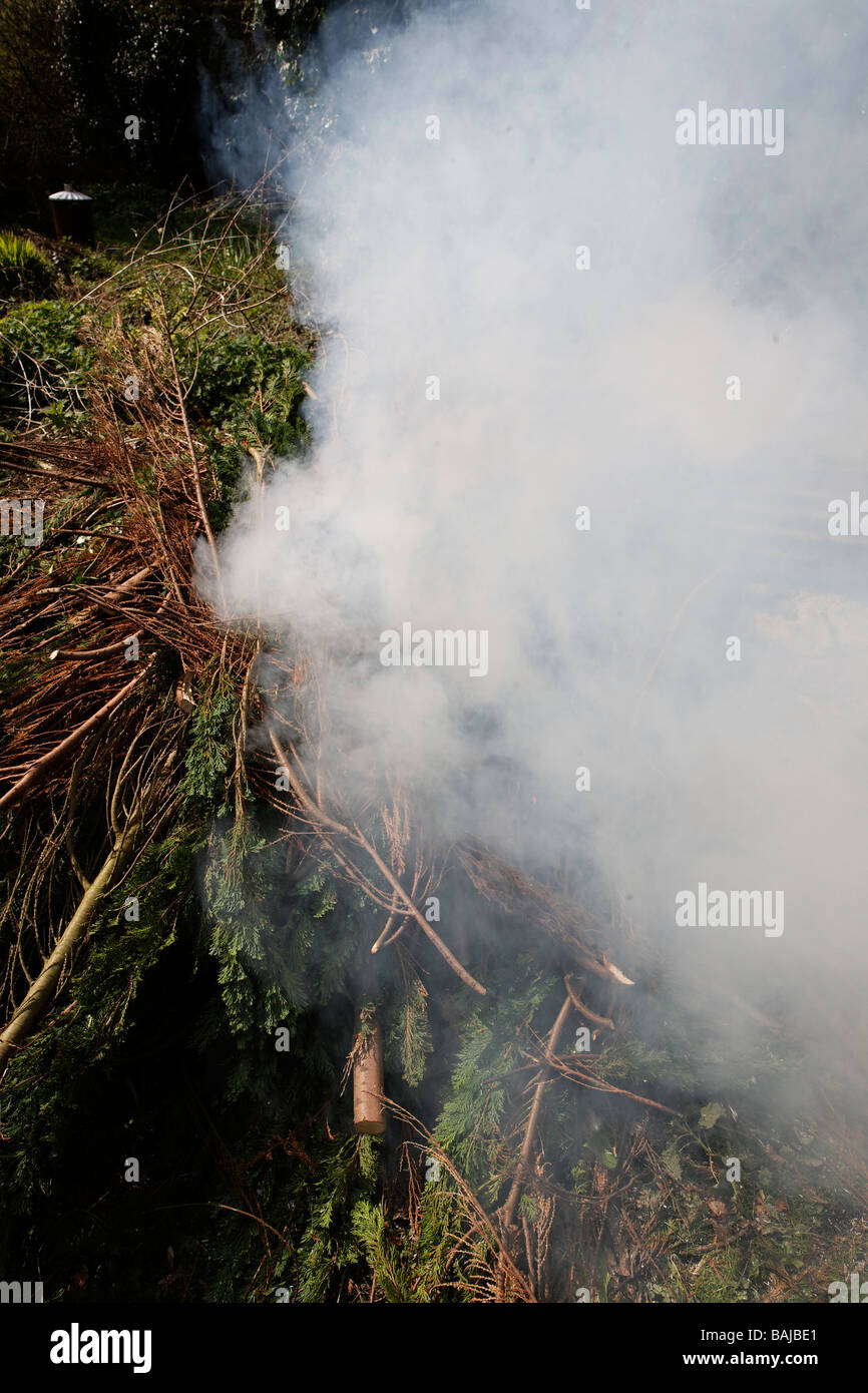 Garden bonfire smoke Stock Photo - Alamy