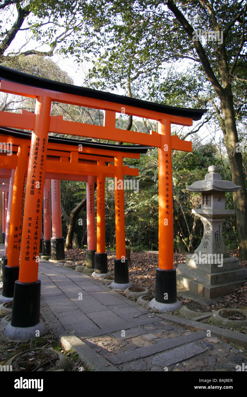 Rows of Torii gates at Fushumi Inari Taisha Kyoto Japan Stock Photo - Alamy