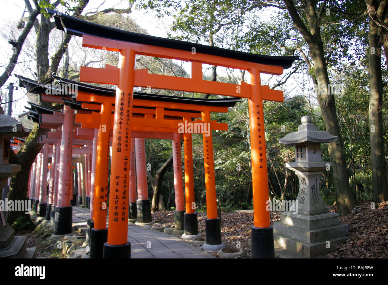 Rows of Torii gates at Fushumi Inari Taisha Kyoto Japan Stock Photo - Alamy
