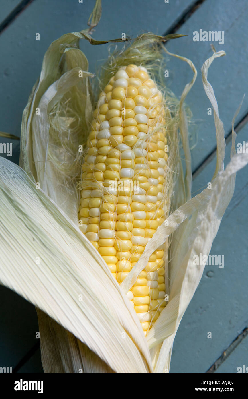 Sweetcorn recipes hi-res stock photography and images - Alamy