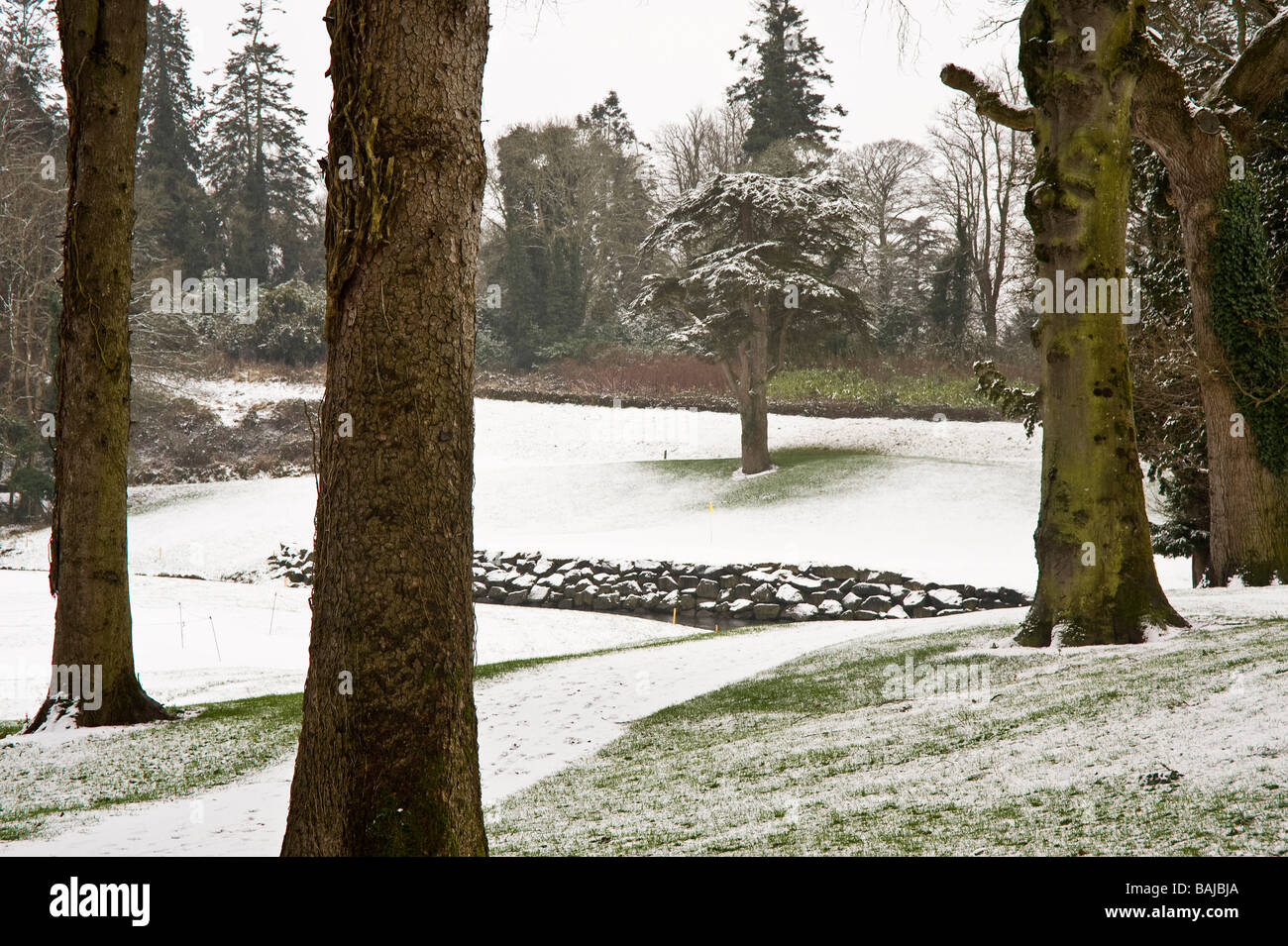 Snow scene with trees in foreground Stock Photo - Alamy