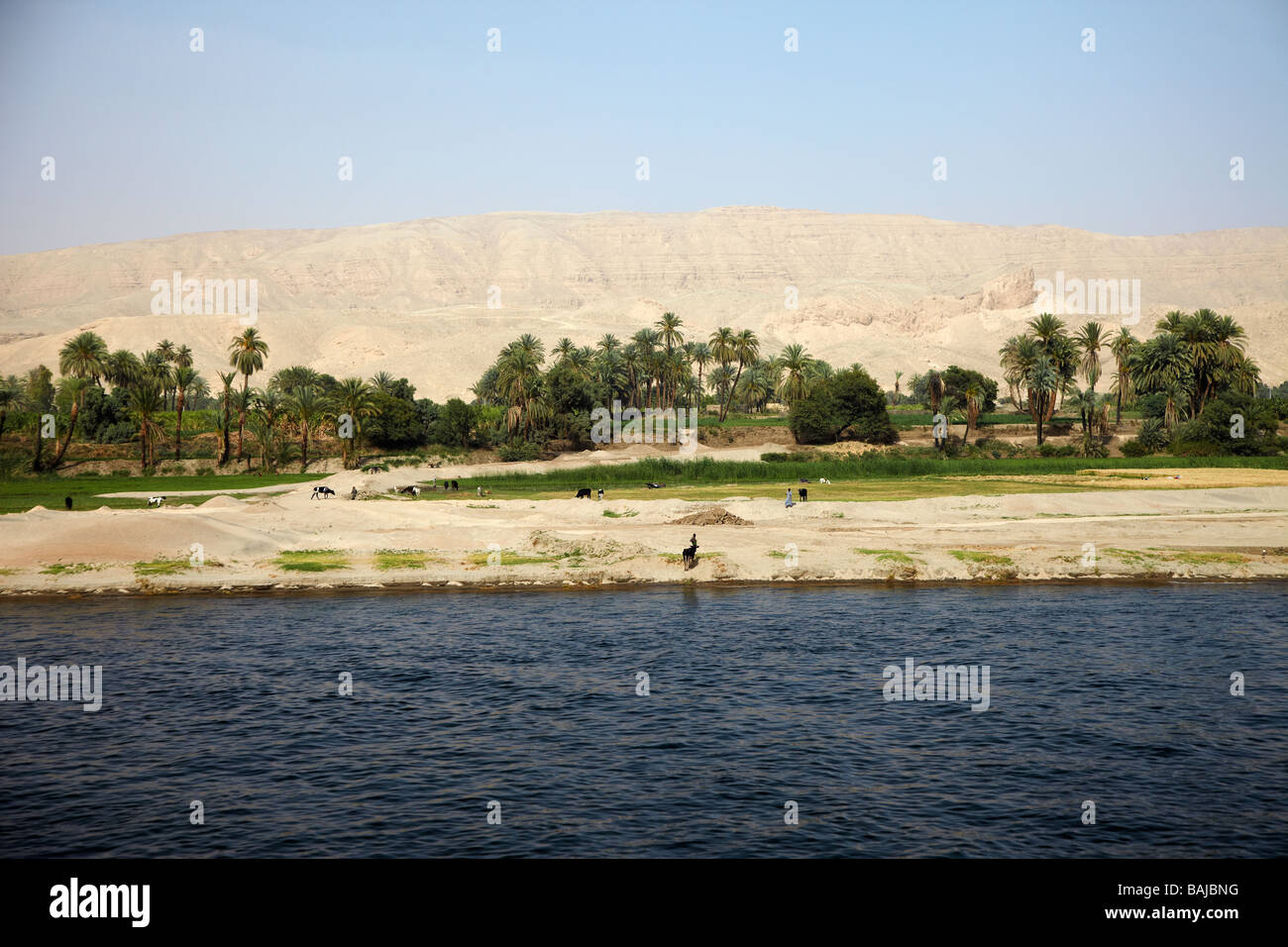 Nile river bank egypt hi-res stock photography and images - Alamy