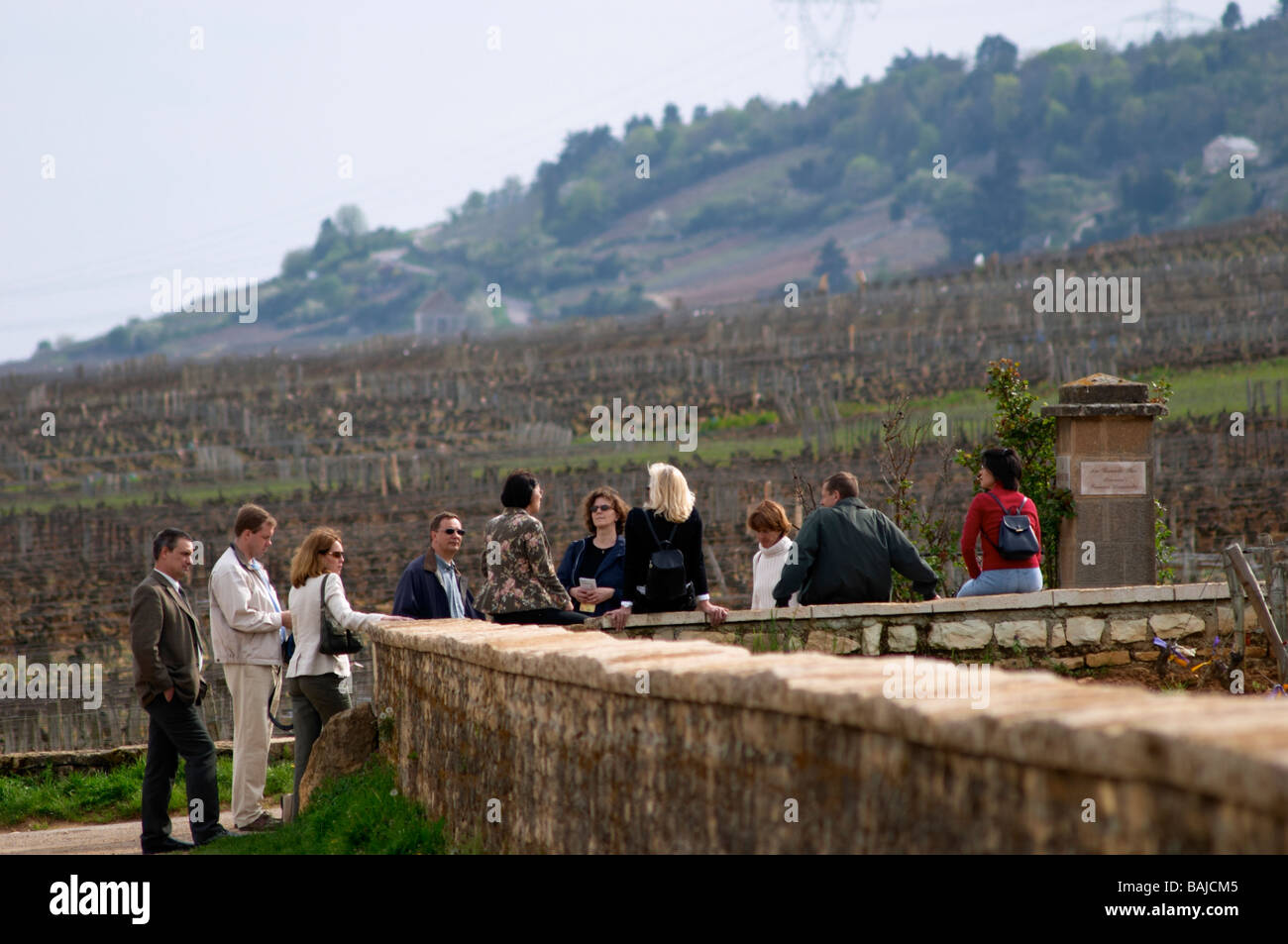 vineyard la romanee conti grande rue in back vosne-romanee cote de ...