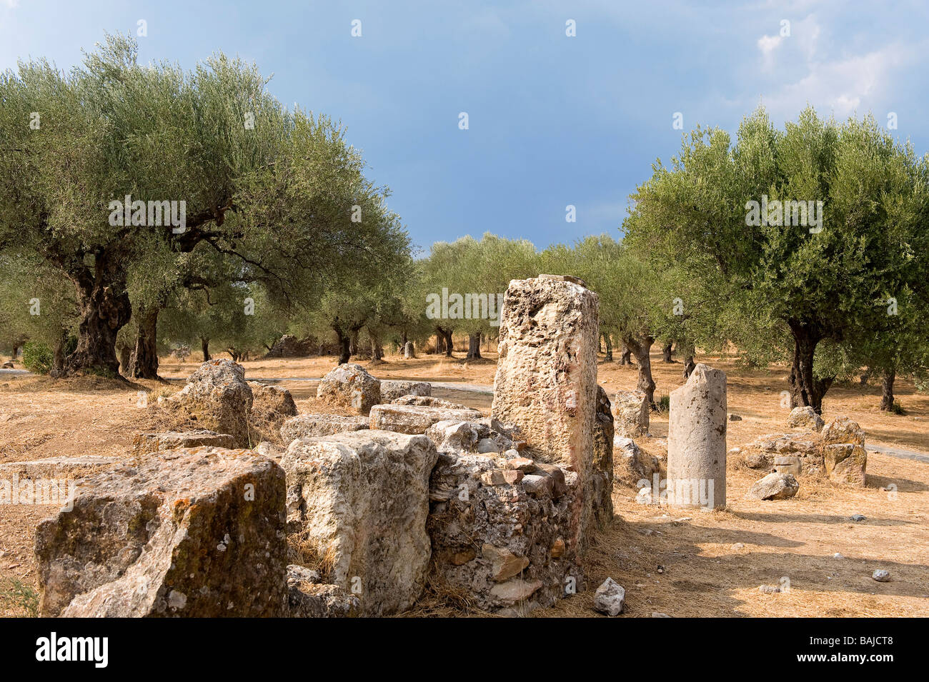 'sparta hi-res stock photography and images - Alamy