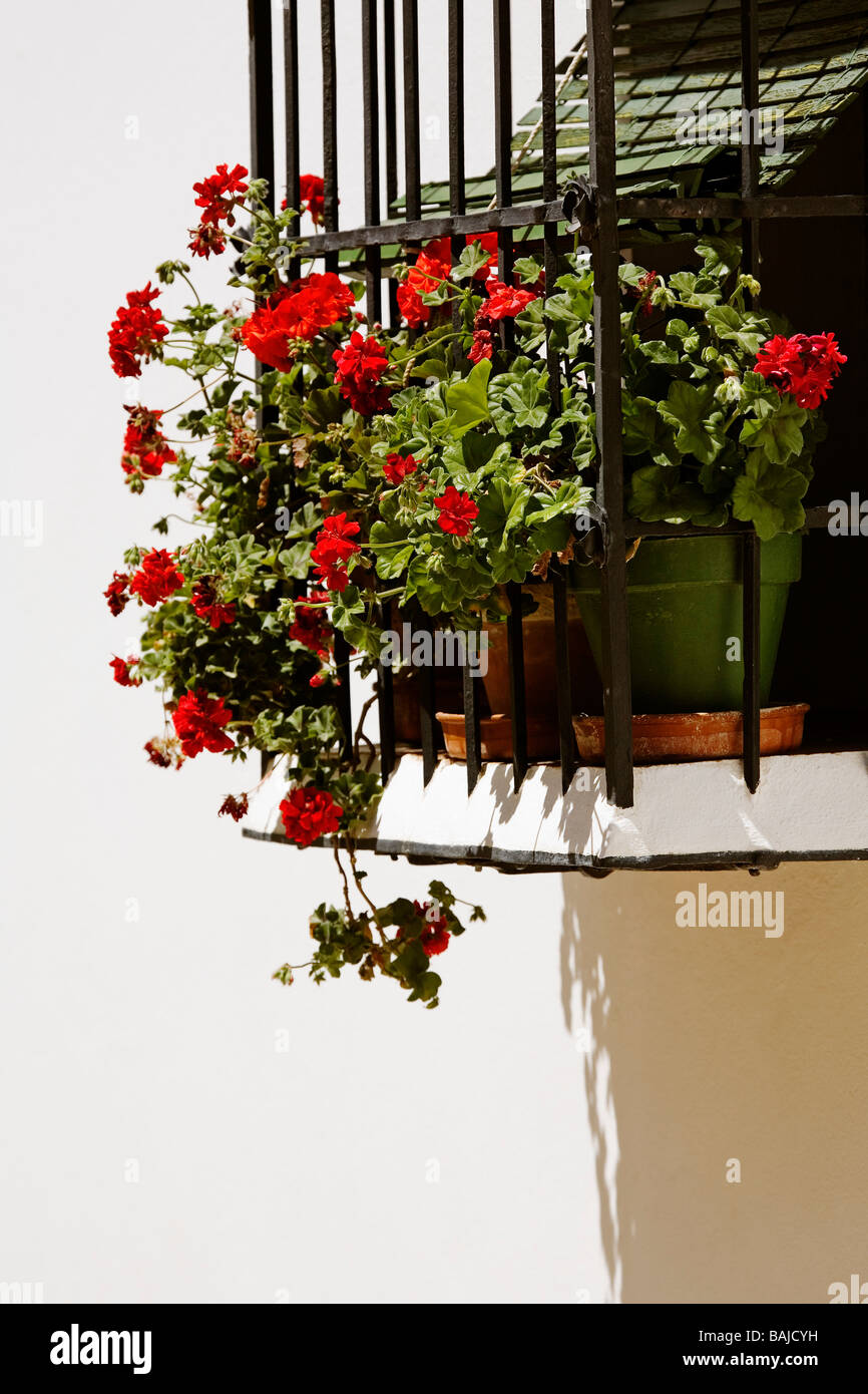 Balcones con plantas hi-res stock photography and images - Alamy