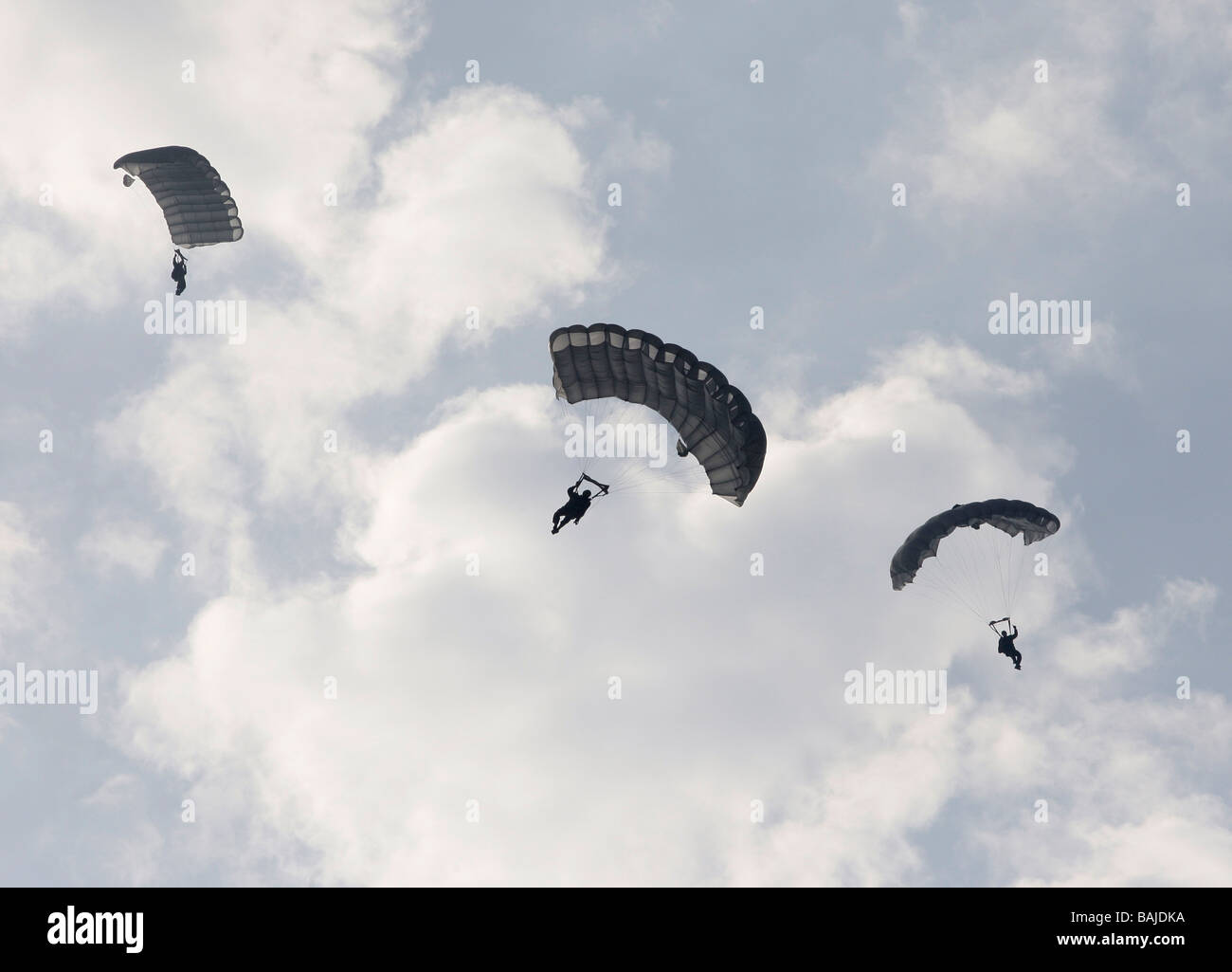 Army freefall parachute competition Stock Photo - Alamy