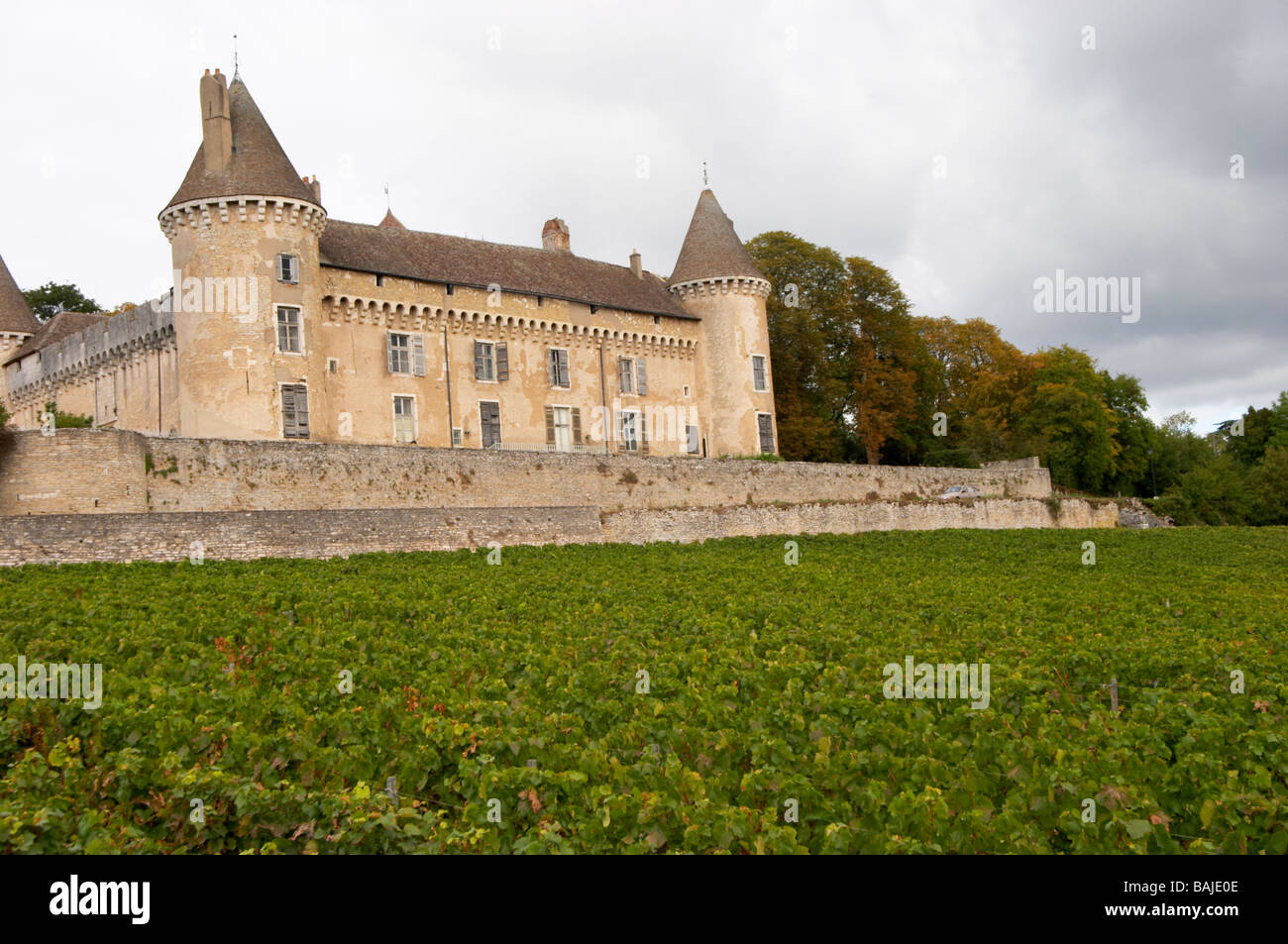 chardonnay vineyard chateau de rully burgundy france Stock Photo - Alamy