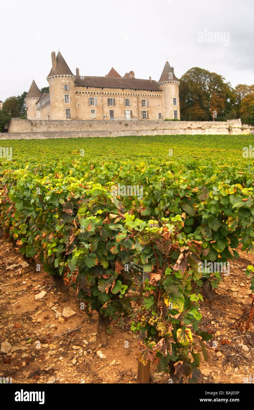 chardonnay vineyard chateau de rully burgundy france Stock Photo - Alamy