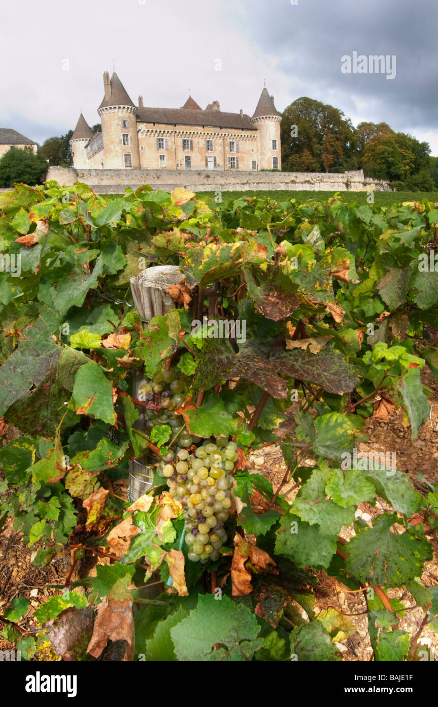 chardonnay vineyard chateau de rully burgundy france Stock Photo - Alamy