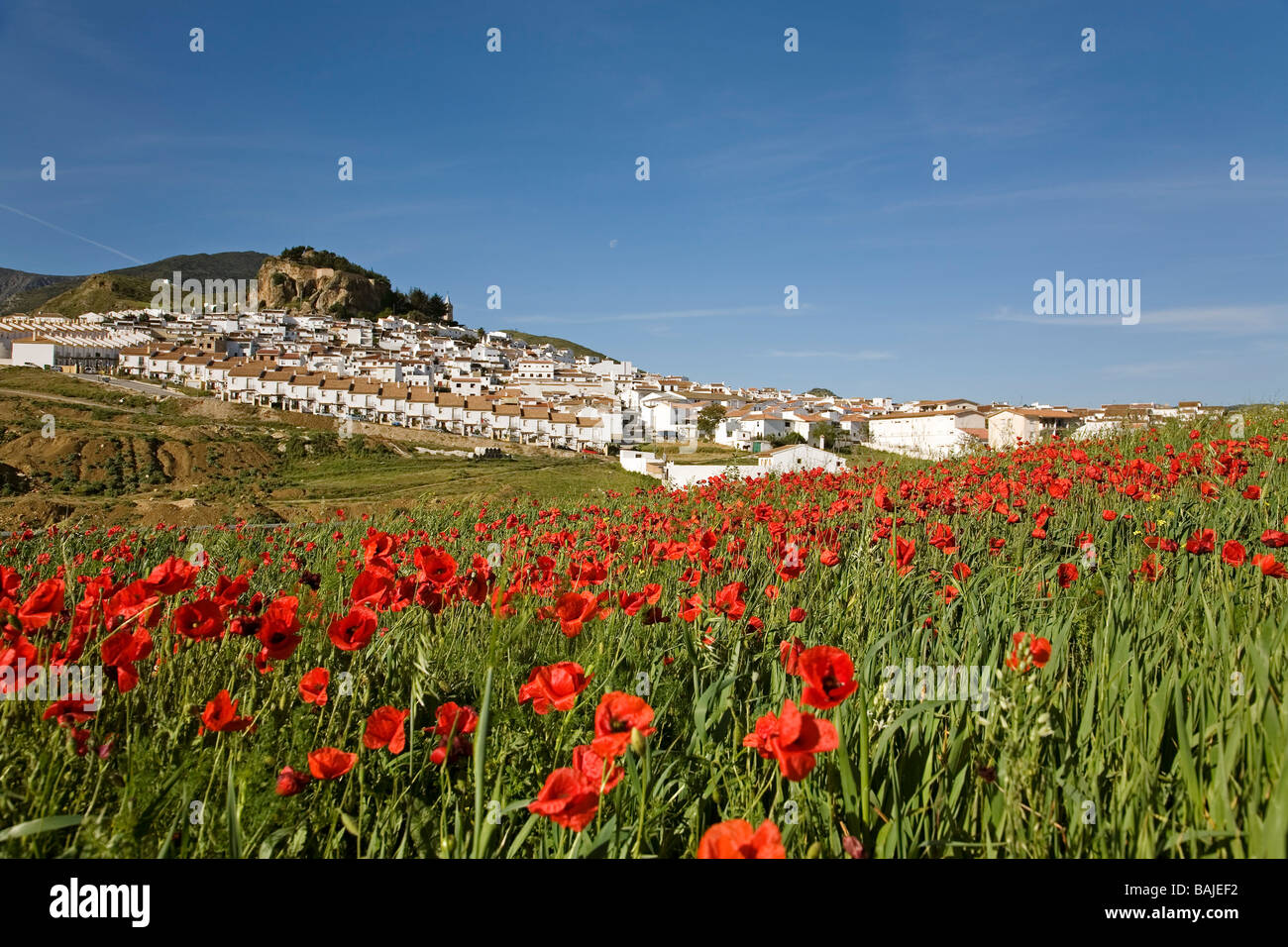 Cultivos horizontales hi-res stock photography and images - Alamy