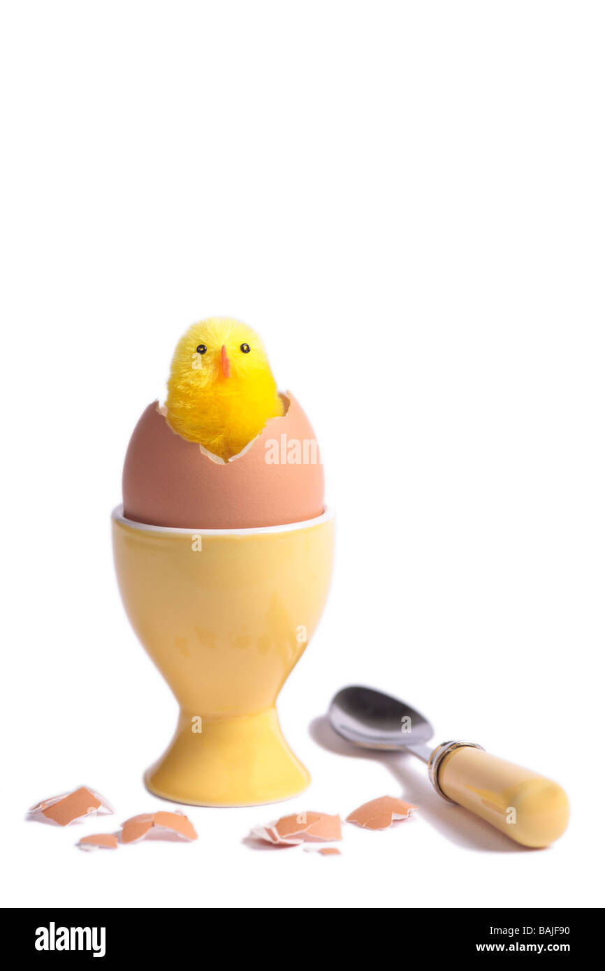Chicken in egg Stock Photo - Alamy