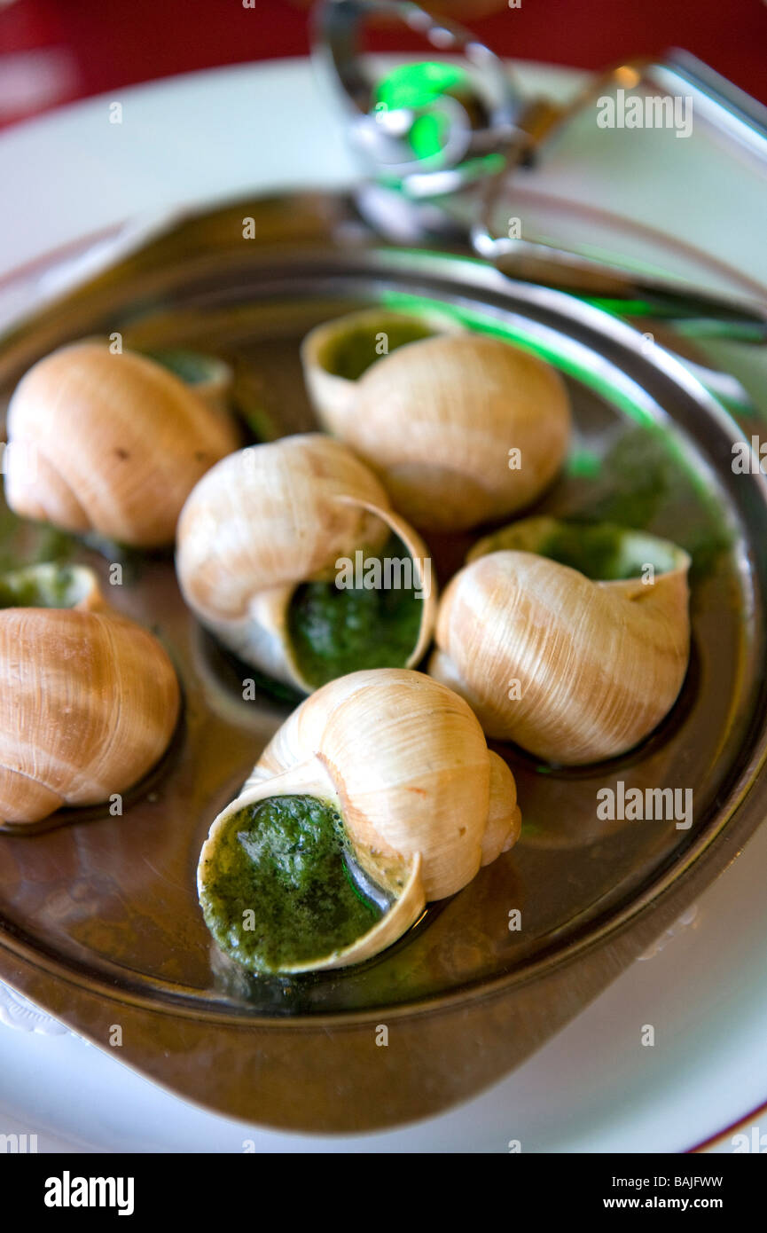 France snails hi-res stock photography and images - Alamy