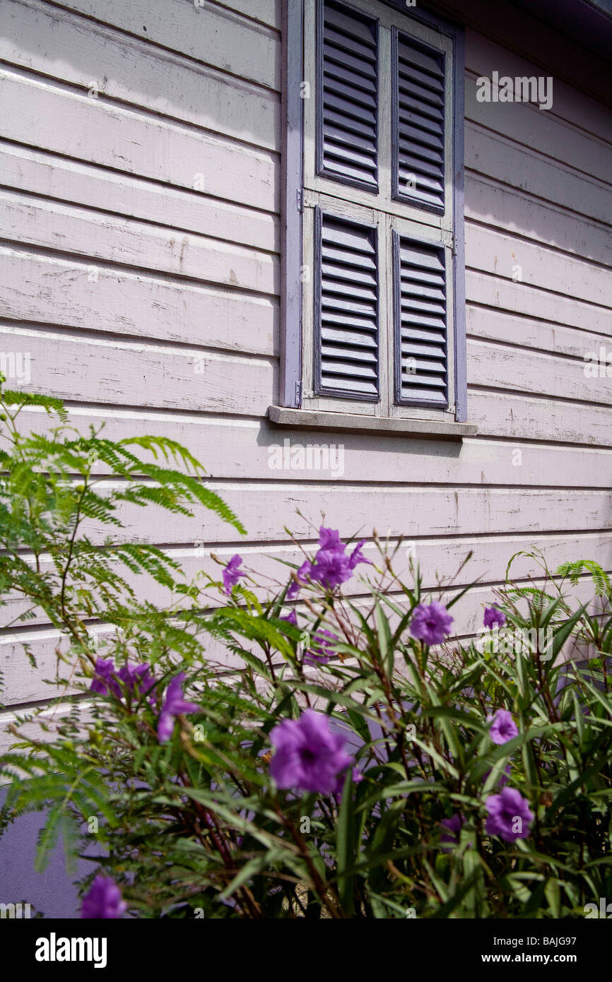 Caribbean tropical wooden shutters hi-res stock photography and images ...
