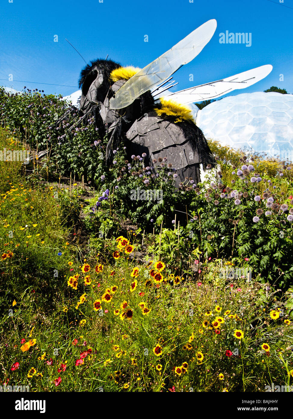 Insect biome hi-res stock photography and images - Alamy